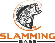 Average Bass Weight And How Big They Can Get - Slamming Bass