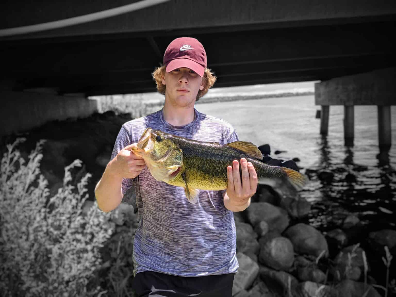 Average Bass Weight And How Big They Can Get - Slamming Bass