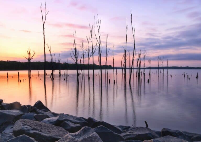 The Best Bass Fishing Lakes In New Jersey - Slamming Bass
